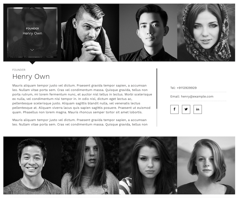 The Team Pro - Team Showcase WordPress Plugin by awsmin | CodeCanyon